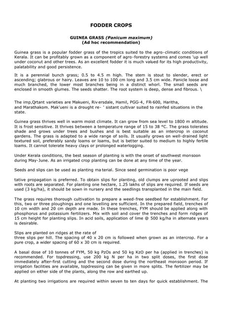 Fodder crops | PPTX | Agriculture | Industries