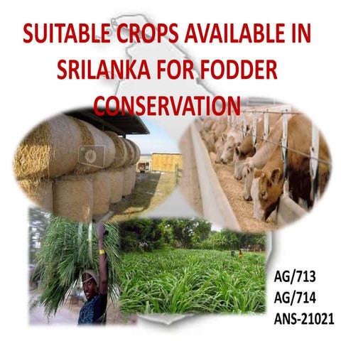 Fodder crops for conservation in Sri Lanka | PPTX