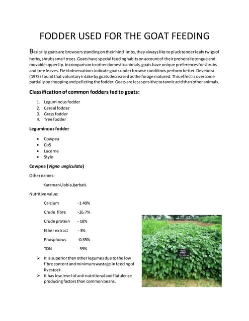 Fodder crops | PPT