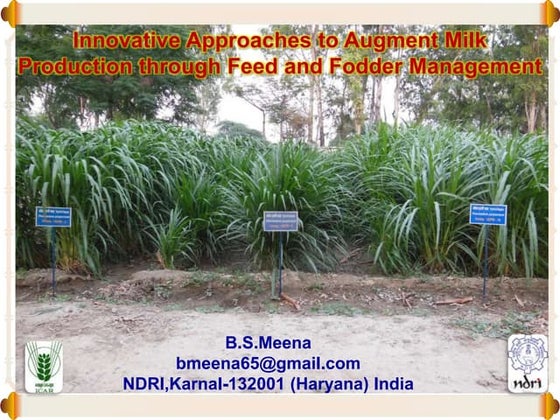 Scope to Fortify Paddy Straw with Groundnut Haulms | PPT