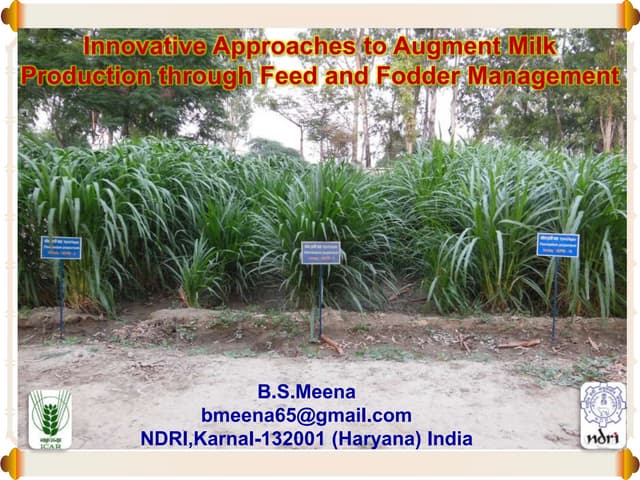 Fodder crops | PPTX | Agriculture | Industries