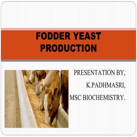 Fodder yeast production | PPTX