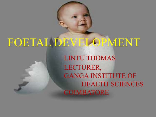 Stages of fetal growth and development | PPTX