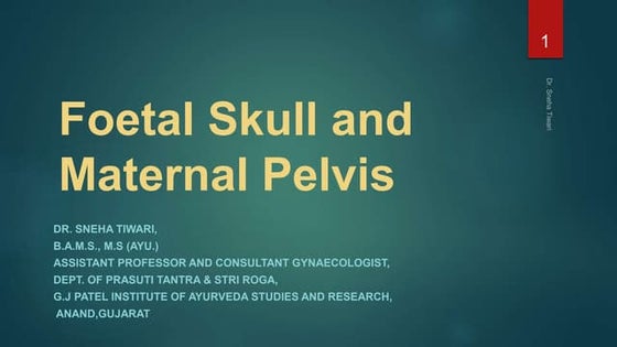 Fetopelvic relationship | PPTX | Pregnancy | Reproductive Health