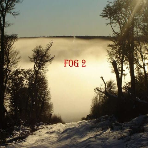Fog 2 | PPSX