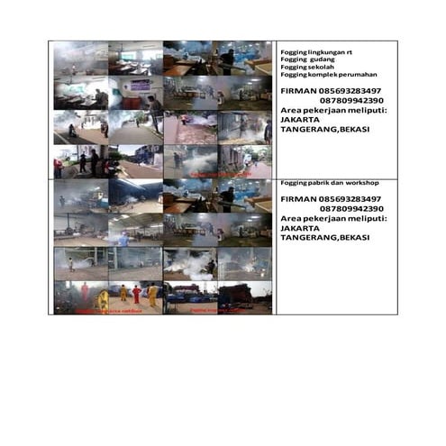 fogging nyamuk | DOCX