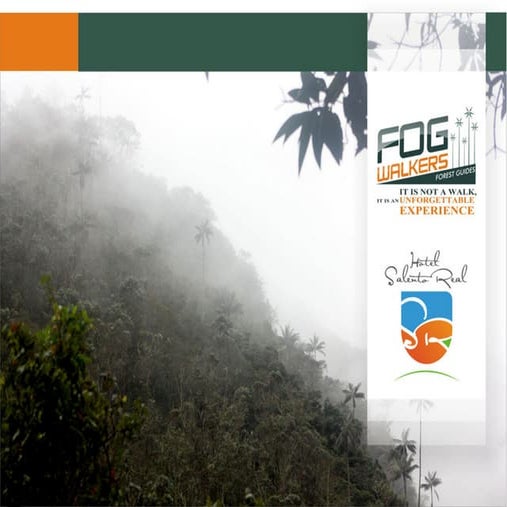 FOG WALKERS Forest Guides I | PDF