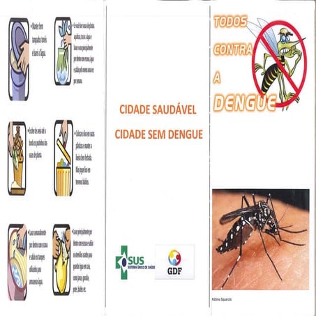 Folder dengue | PDF