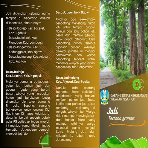 Materi Penyuluhan tentang Toponimi Tanaman Jati | PDF