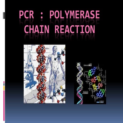 PCR Polymerase Chain Reaction by Laura Mejia | PPT