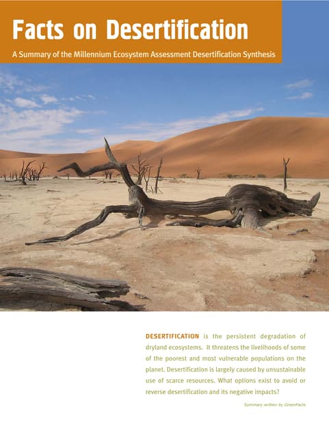 Desertification In The Sahel Sheet | DOC