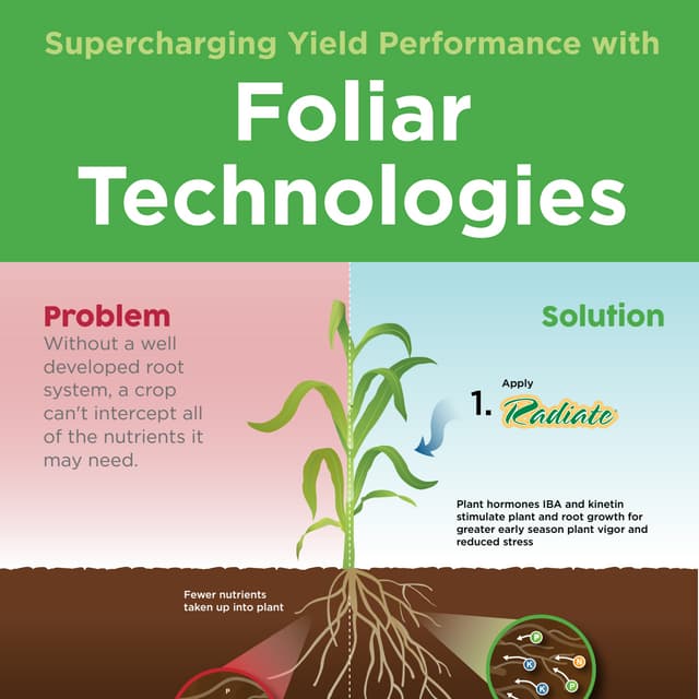 Supercharging Yield Performance with Foliar Technologies Infographic | PDF