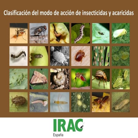 Clasificación del modo de acción de insecticidas y acaricidas (v4.1 apr ...