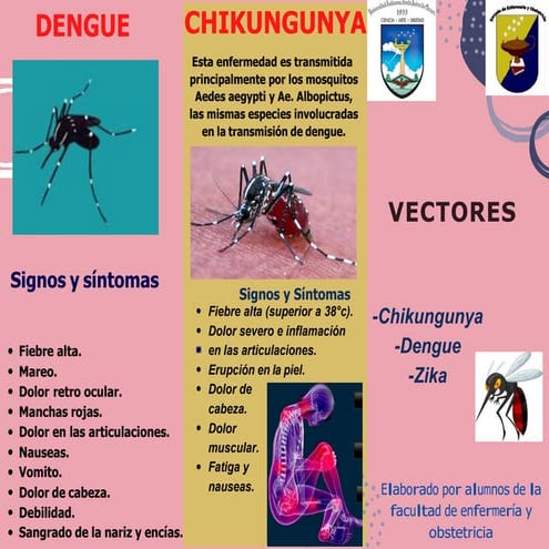 Folleto dengue.pdf
