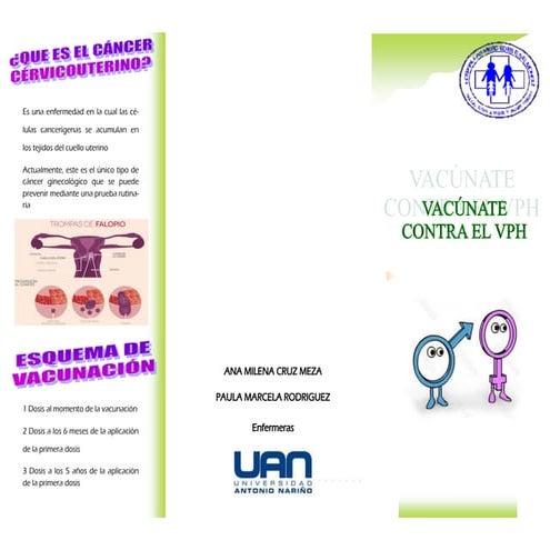 Folleto vph | PDF