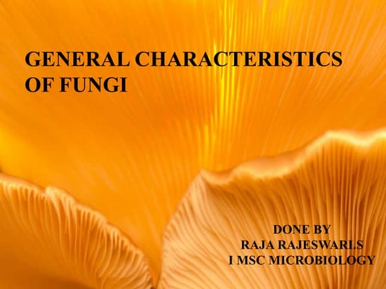 General Characteristics & Classification of Fungi | PPT General Characteristics & Classification of Fungi | PPT