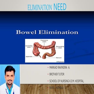 SMALL INTESTINE AND LARGE INTESTINE | PPT