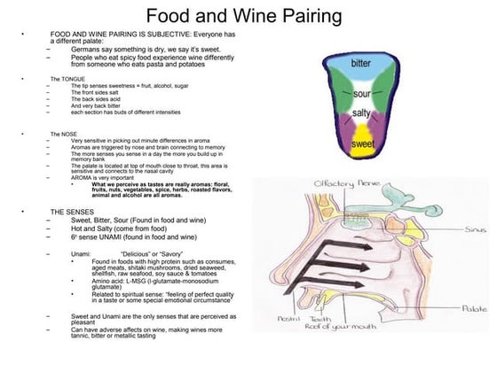 Food and wine pairing | PPTX