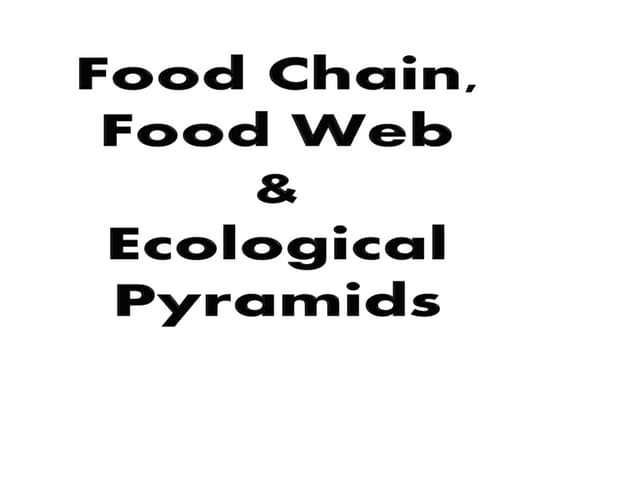 Ecological pyramids ppt | PPTX