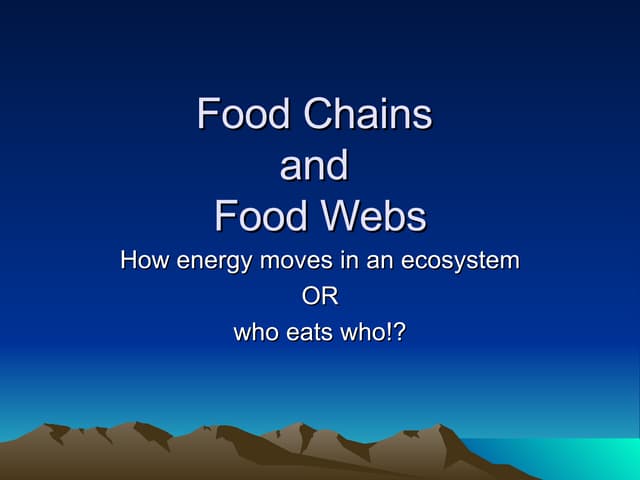 Food Chains and Food Webs Handout.pdf for grade 6 and 7 | PDF