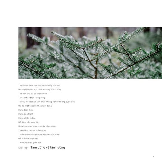 Morico Lunch Menu 2019 | PPT