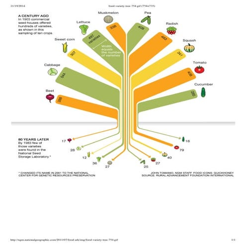 Food Variety Tree | PDF