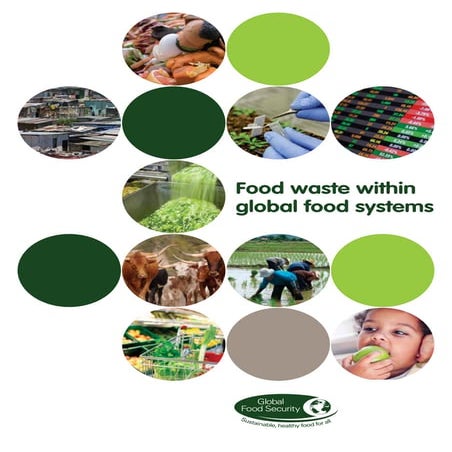 Food Waste within Global Food systems | PDF