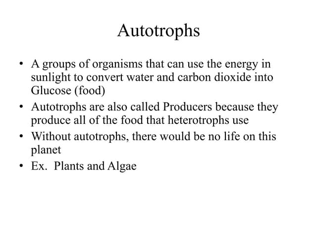 Food Chain and Food Web | PPTX