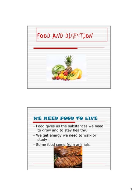 Grade 2 What We Need to Live .powerpoint | PPTX