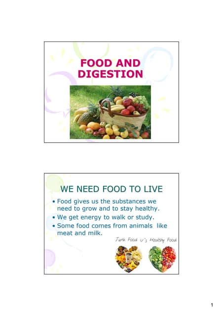 Grade 2 What We Need to Live .powerpoint | PPTX