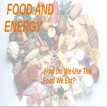 Food and energy | ODP