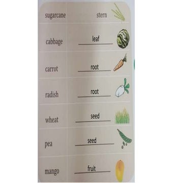 Food and non food | PPT