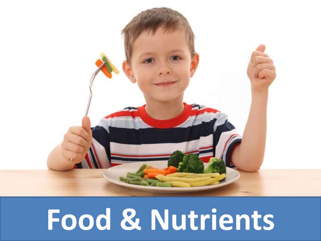 The Six Essential Nutrients: Lesson Plan And Worksheet | PDF ...