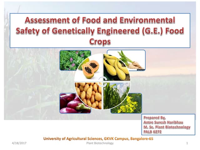 Ethical issues associated with Genetically Modified Crops and ...