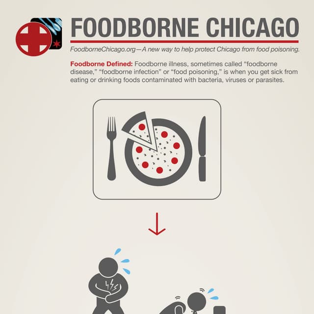 FoodBorne Chicago Infographic | PDF
