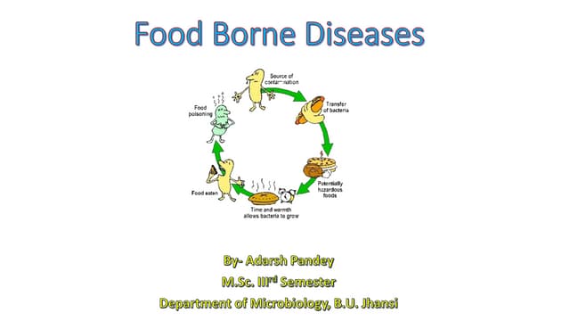 Food borne diseases | PPTX