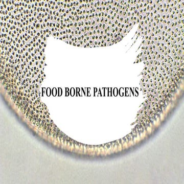 FOOD BORNE PATHOGENS unexplored area of microbiology | PPTX