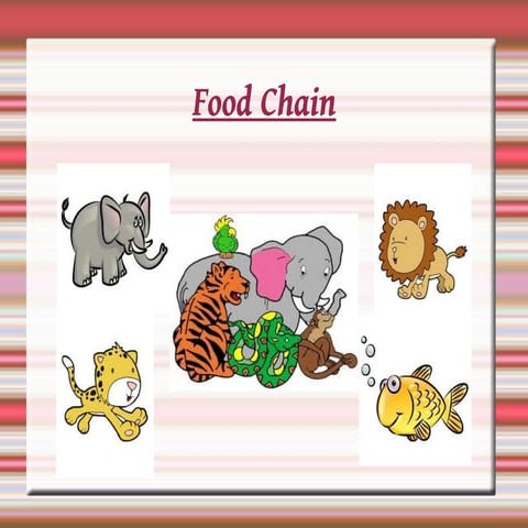 Food chain | PPT
