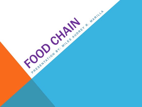 Food chain blog page | PDF