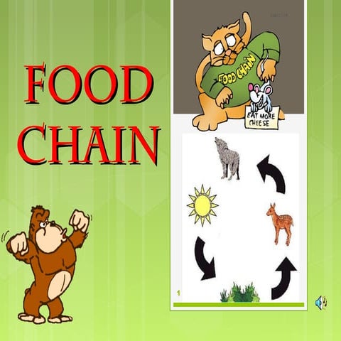 Food chain | PPT