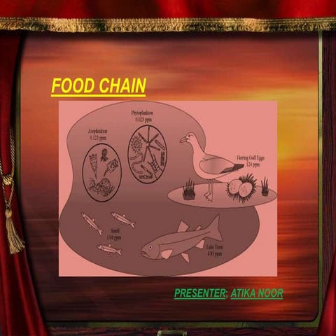 Food chain | PPTX
