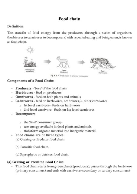 FOOD CHAIN & FOOD WEB | PPTX | Science