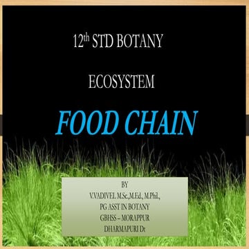 Food chain | PPT