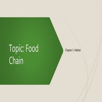 Food chains | PPT