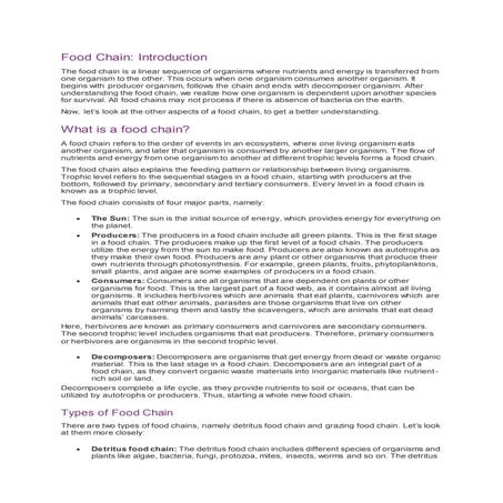 Food chain | DOCX