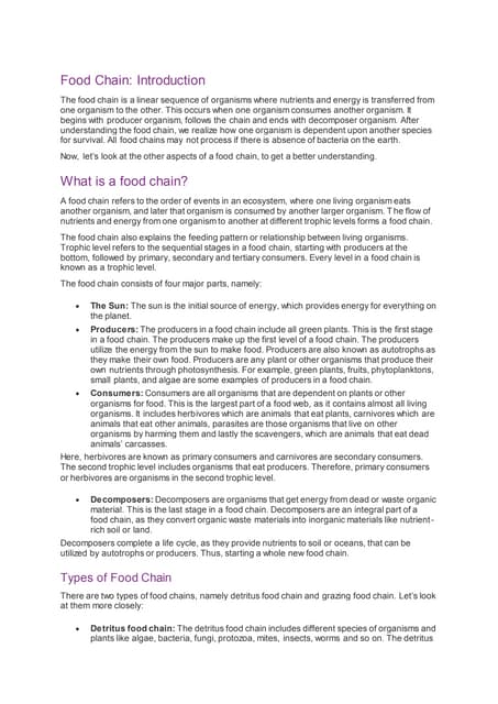 Food Chain and Food Web | PPTX