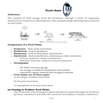 Food chain | PPTX | Biological Sciences | Science