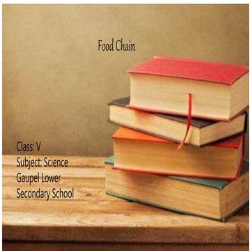 Food chain slides for teaching grade 8 learners | PPTX