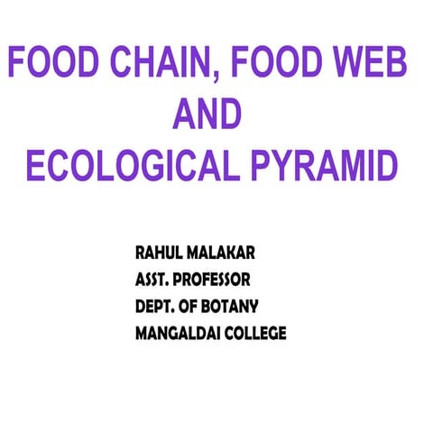 Food chain,food web and ecological pyramids | PPT