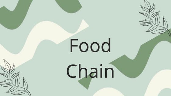 The Food Web PowerPoint | PPT